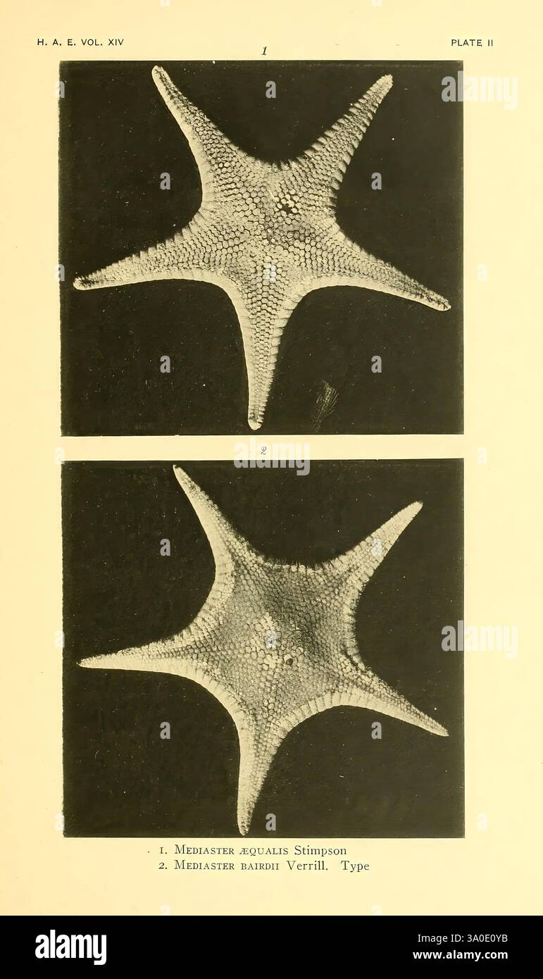 Harriman Alaska series, Washington, 1910-1914, Alaska, natural history ...