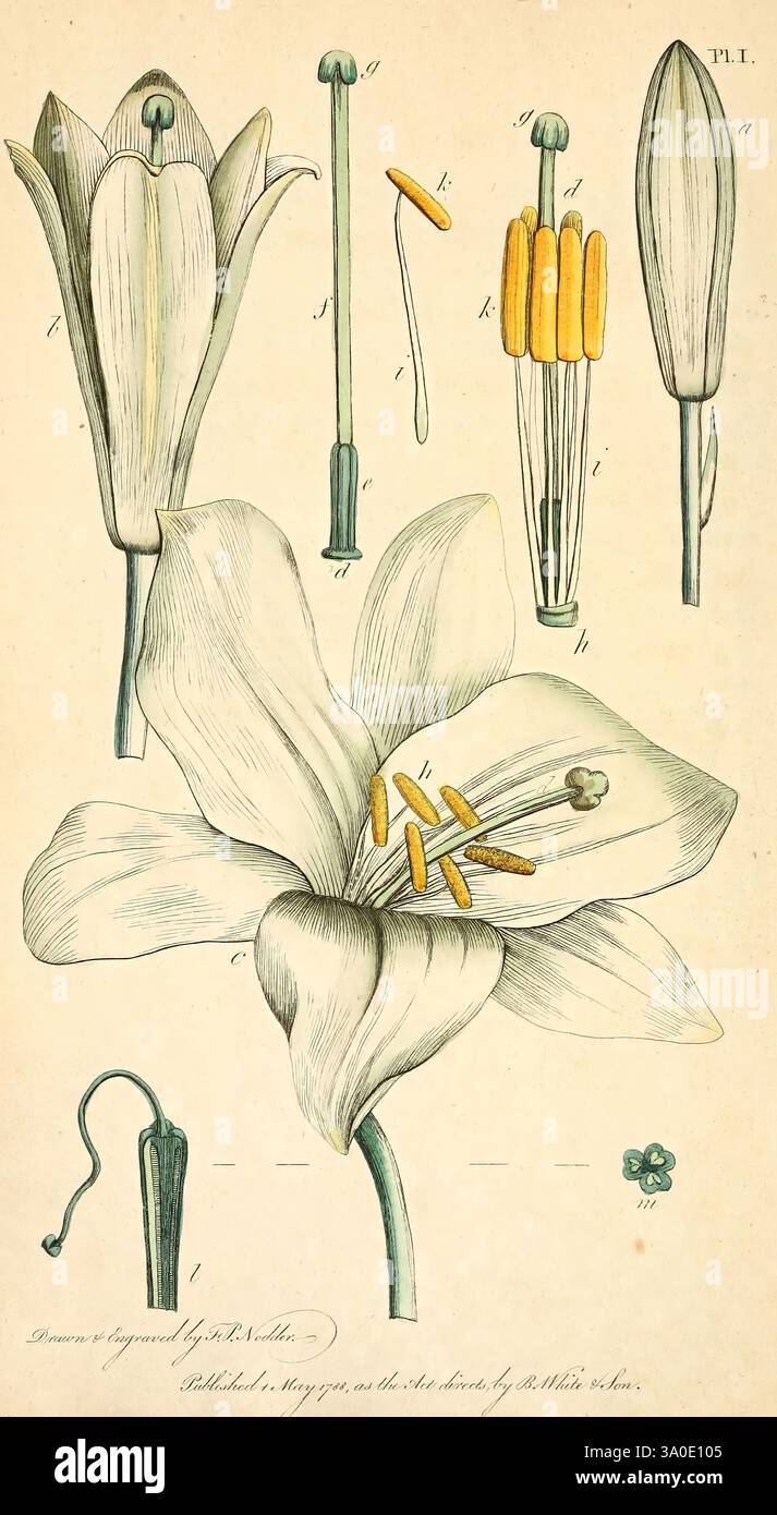 Featuring multiple detailed views hi-res stock photography and images ...