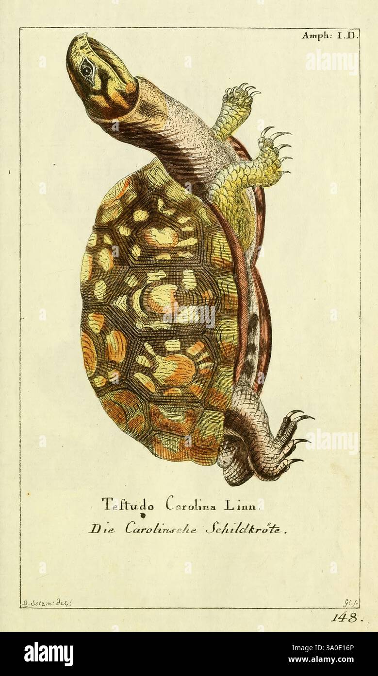Gemeinnützige Naturgeschichte des Thierreichs bd. 4 plates Berlin, bei ...