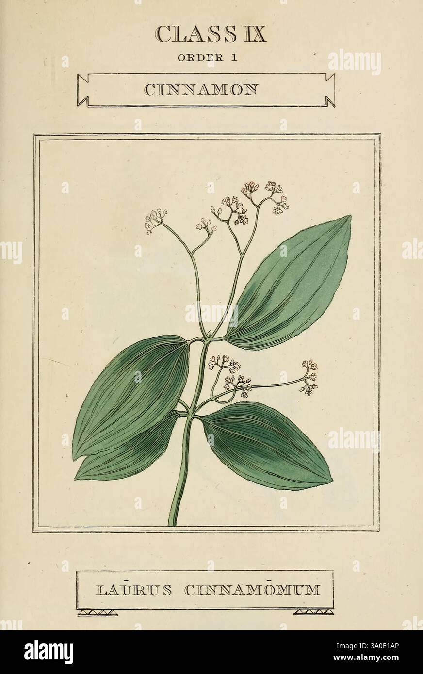 Elements of the Science of Botany, London, Printed by T. Bensley for J ...