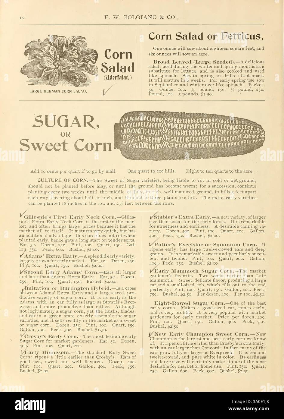 Text highlights different types of corn hi-res stock photography and ...