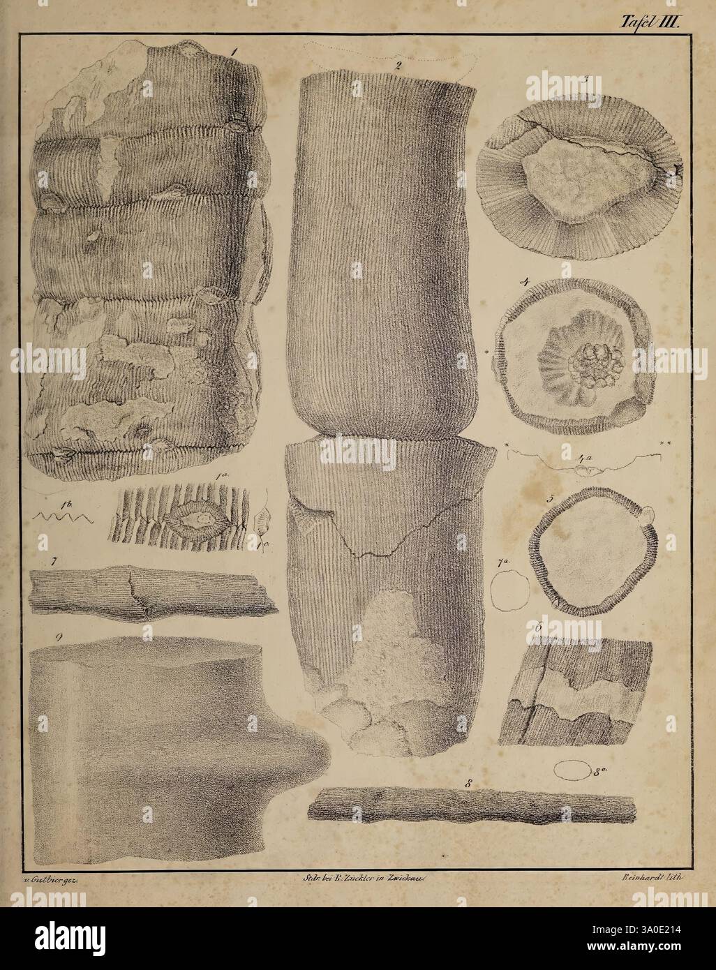 Elongated cylindrical structures hi-res stock photography and images ...