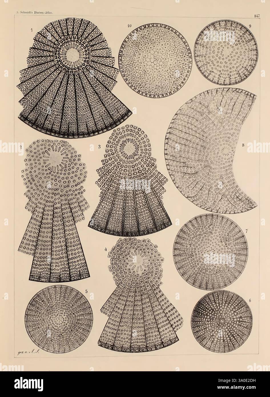 Radial pattern structure repeating hi-res stock photography and images ...