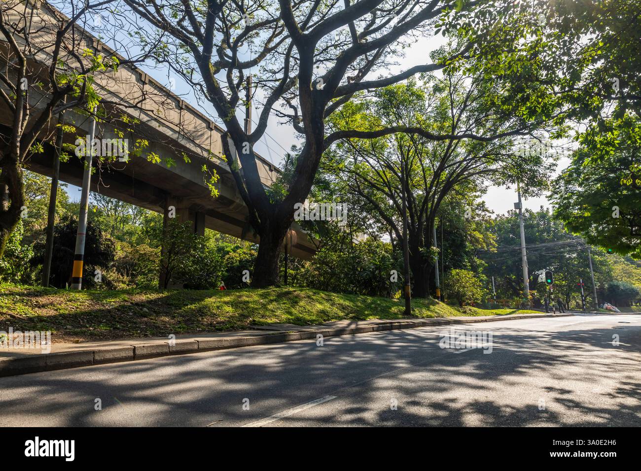 The Green Corridors strategy in Medellín represents a model of ...