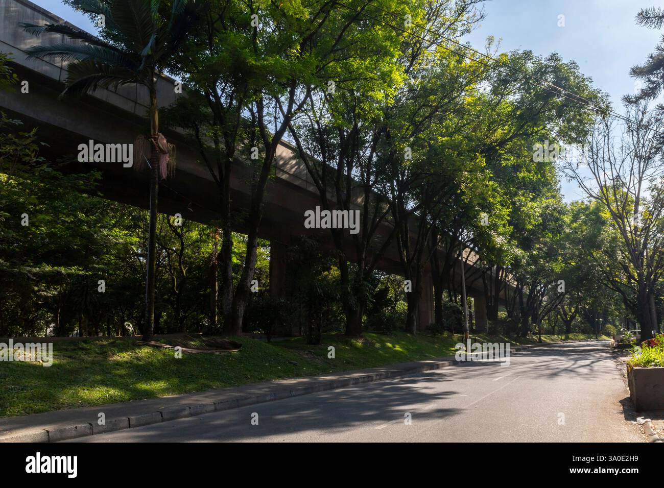 The Green Corridors strategy in Medellín represents a model of ...