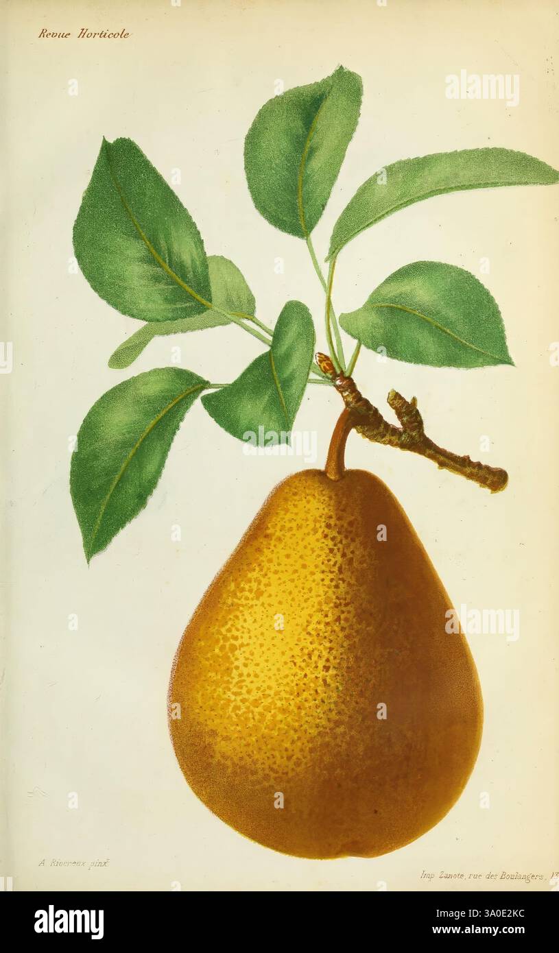 Revue horticole, Paris, Librairie agricole de la maison rustique, 1829 ...