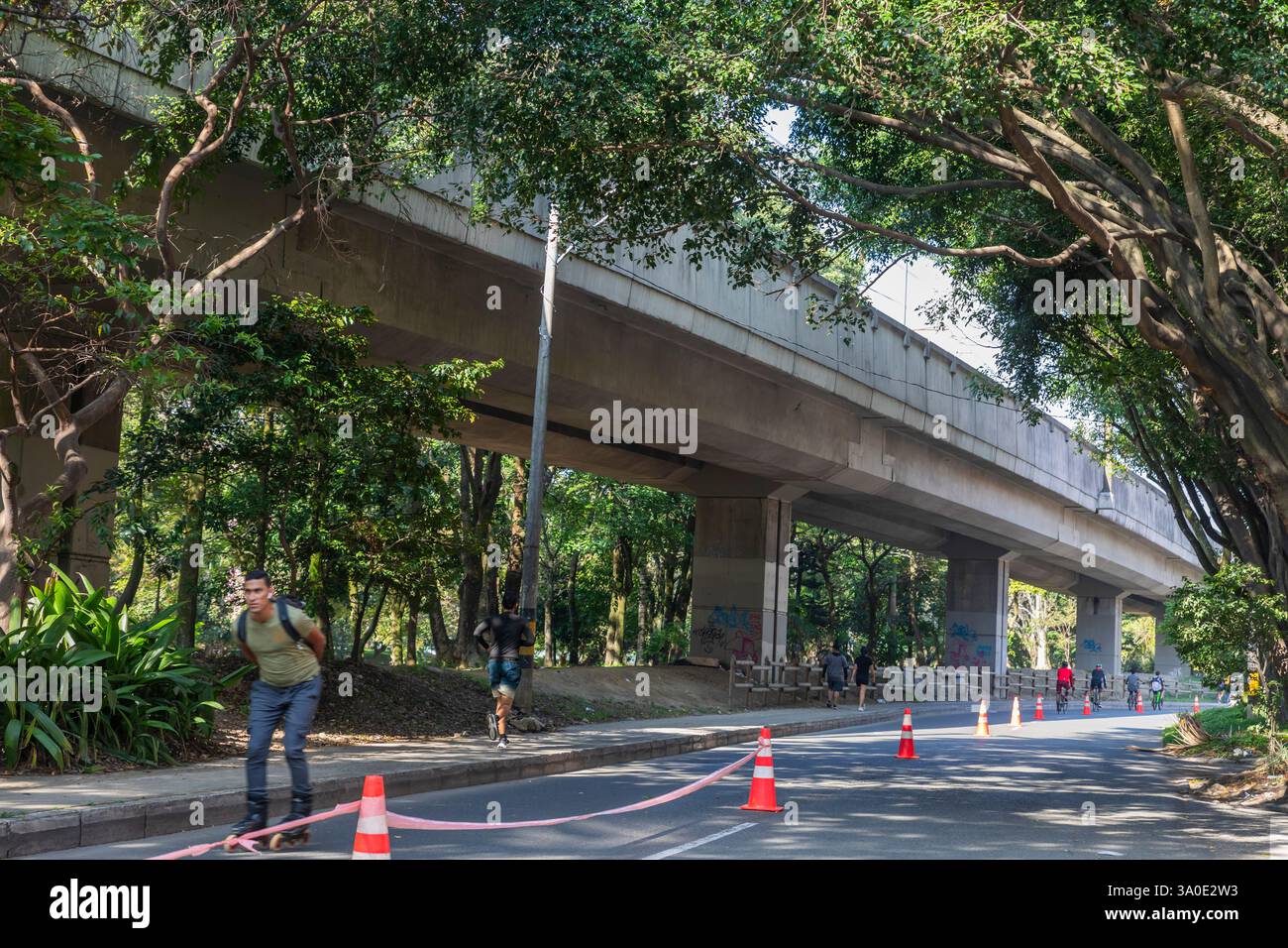 The Green Corridors strategy in Medellín represents a model of ...