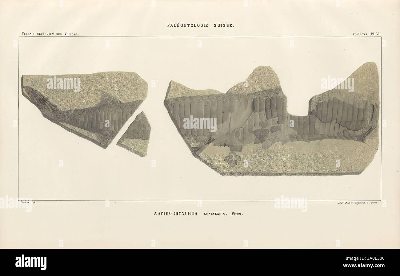 Visible chisel marks hi-res stock photography and images - Alamy