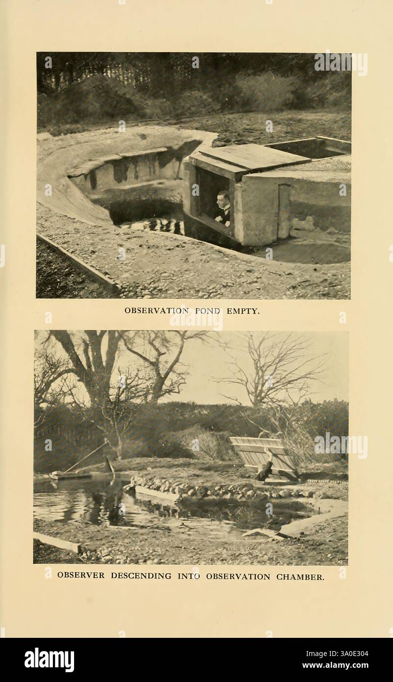 Marvels of fish life as revealed by the camera 1912, fishes ...