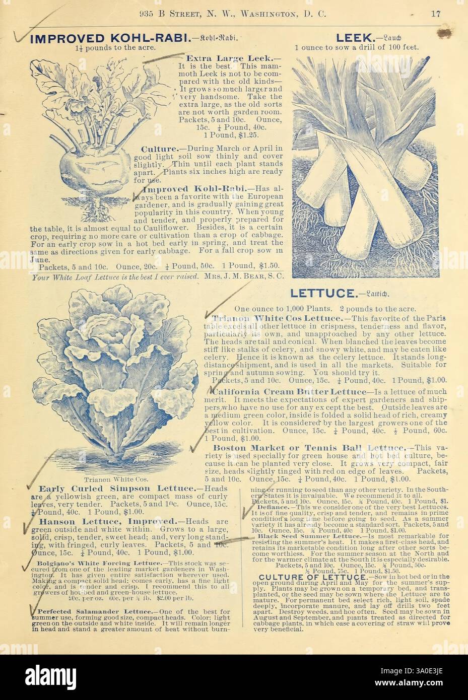 Descriptions of different lettuce varieties hi-res stock photography ...