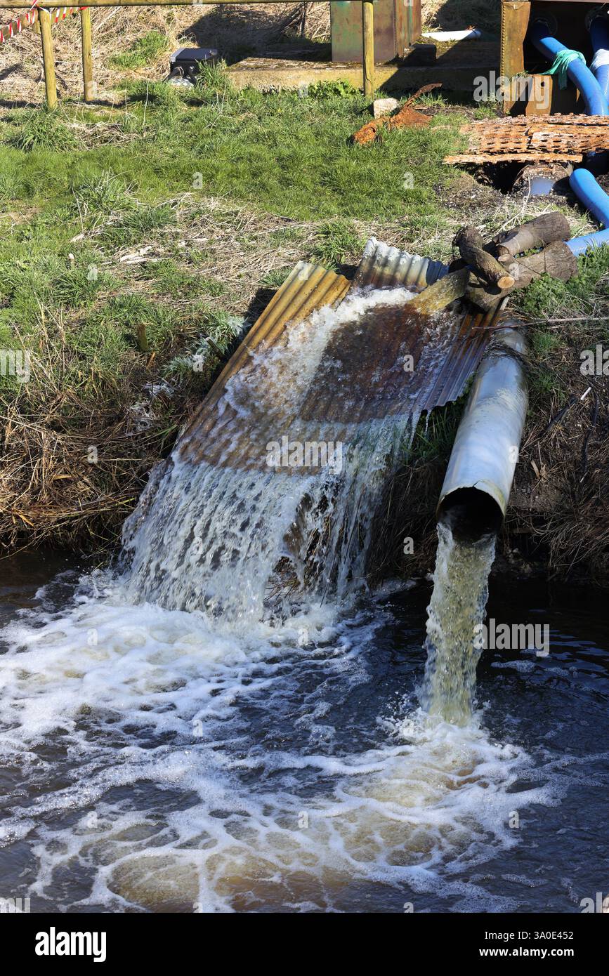 March 2025 - RSPB pumping water Ham Wall, Somerset, Engalnd, UK Stock ...