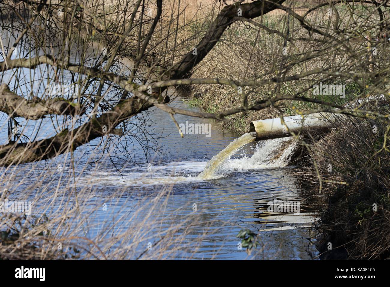 March 2025 - RSPB pumping water Ham Wall, Somerset, Engalnd, UK Stock ...