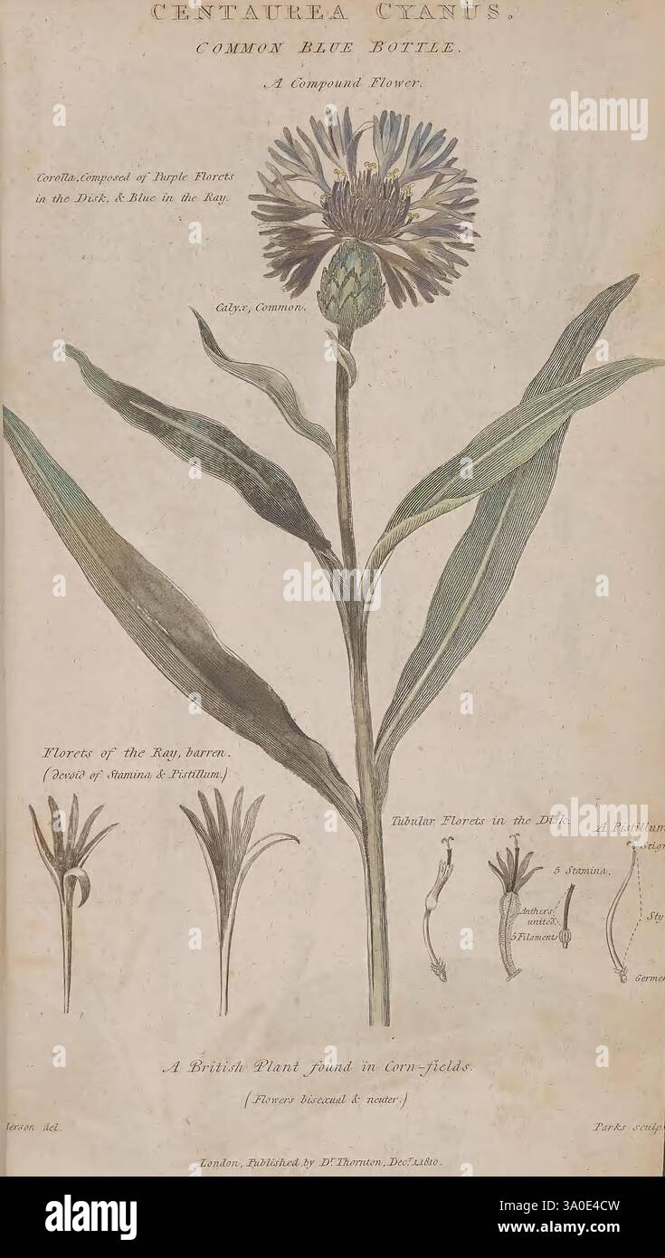 Elements of botany London, Printed for the author by J. Whiting, 1812 ...