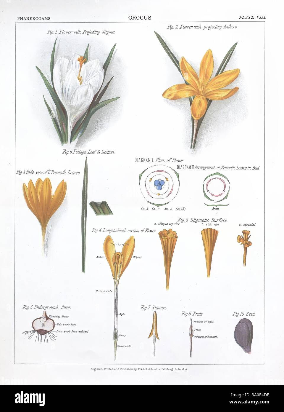 Diagrams highlight specific features hi-res stock photography and ...