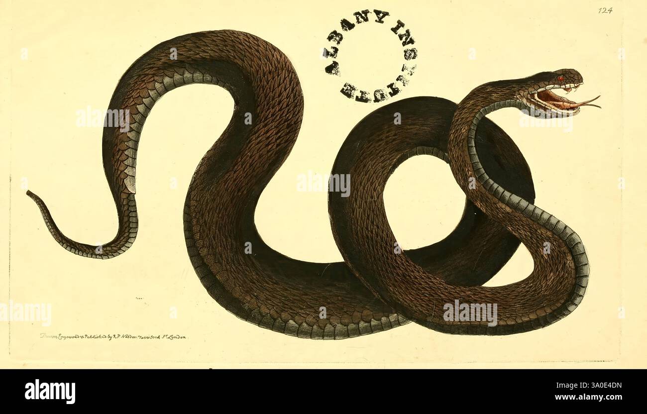 The zoological miscellany, London, Printed by B. McMillan for E. Nodder ...