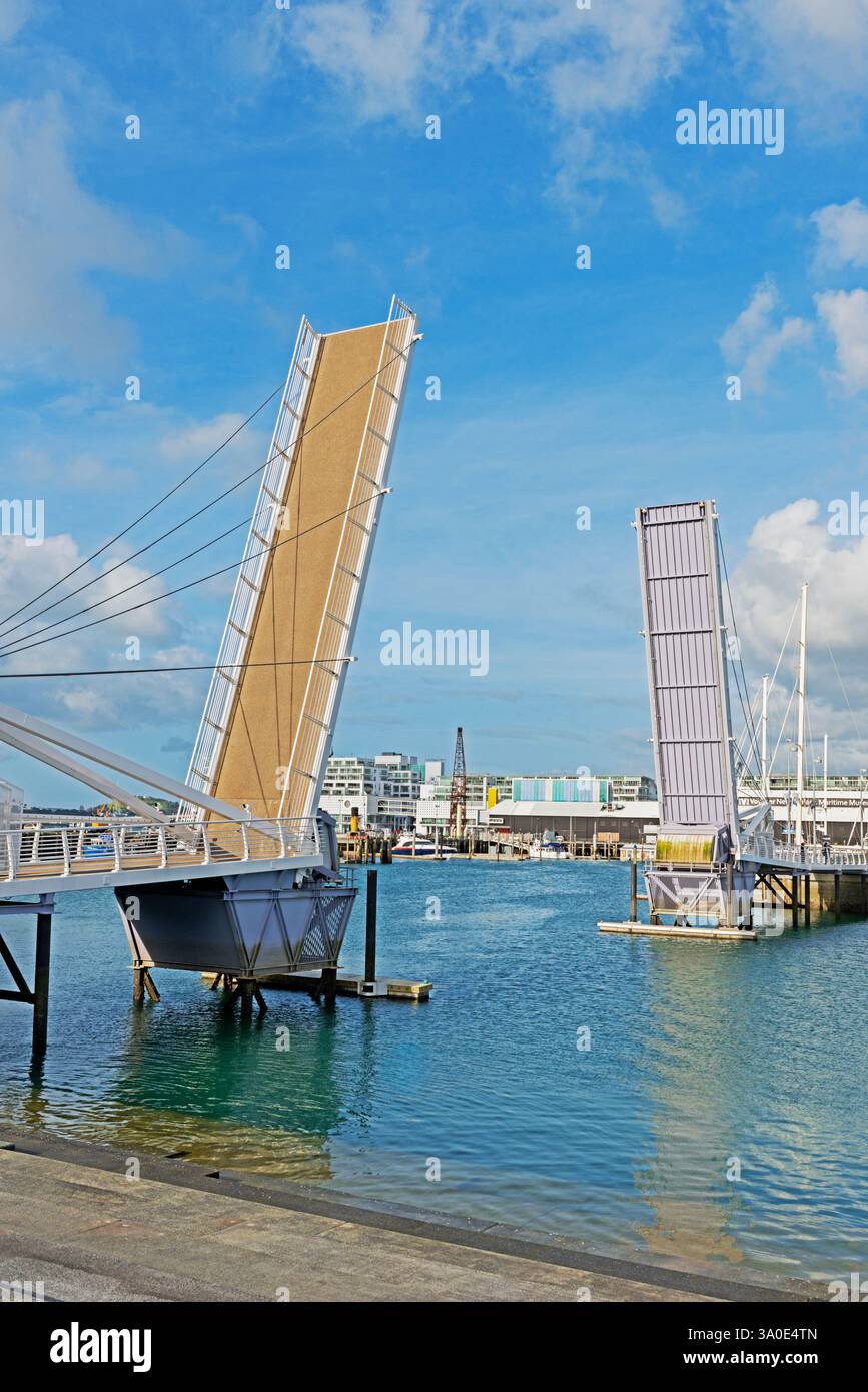 Bridge wynyard crossing hi-res stock photography and images - Alamy