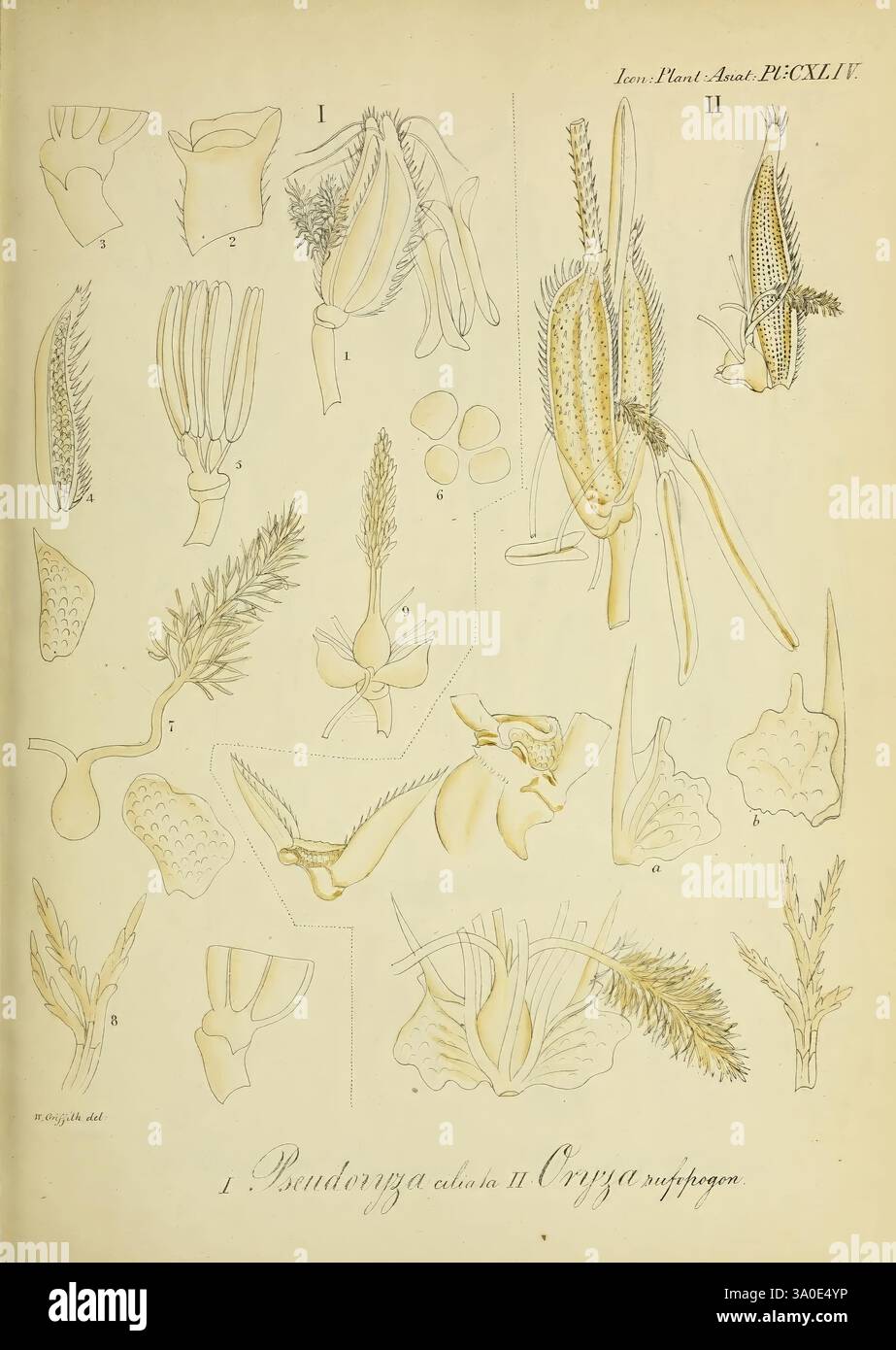 Representations of different parts hi-res stock photography and images ...