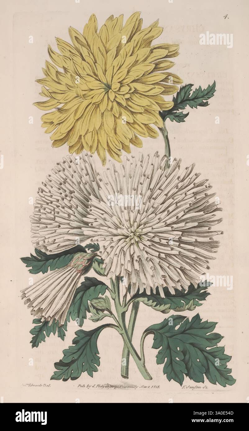 Tubular shapes emphasizes hi-res stock photography and images - Alamy