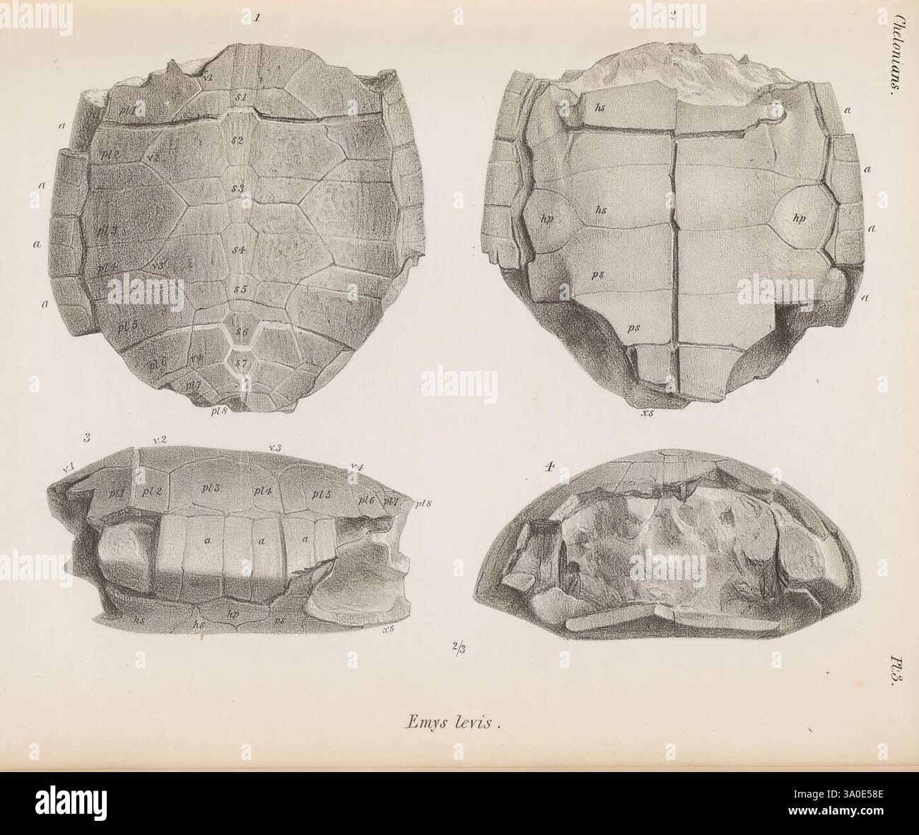 Close up renderings of textured surfaces hi-res stock photography and ...