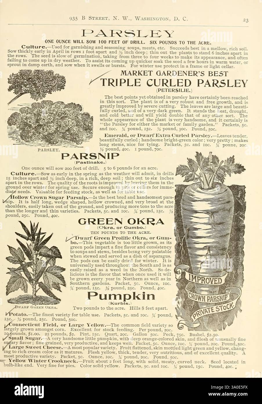 Section highlights parsley hi-res stock photography and images - Alamy