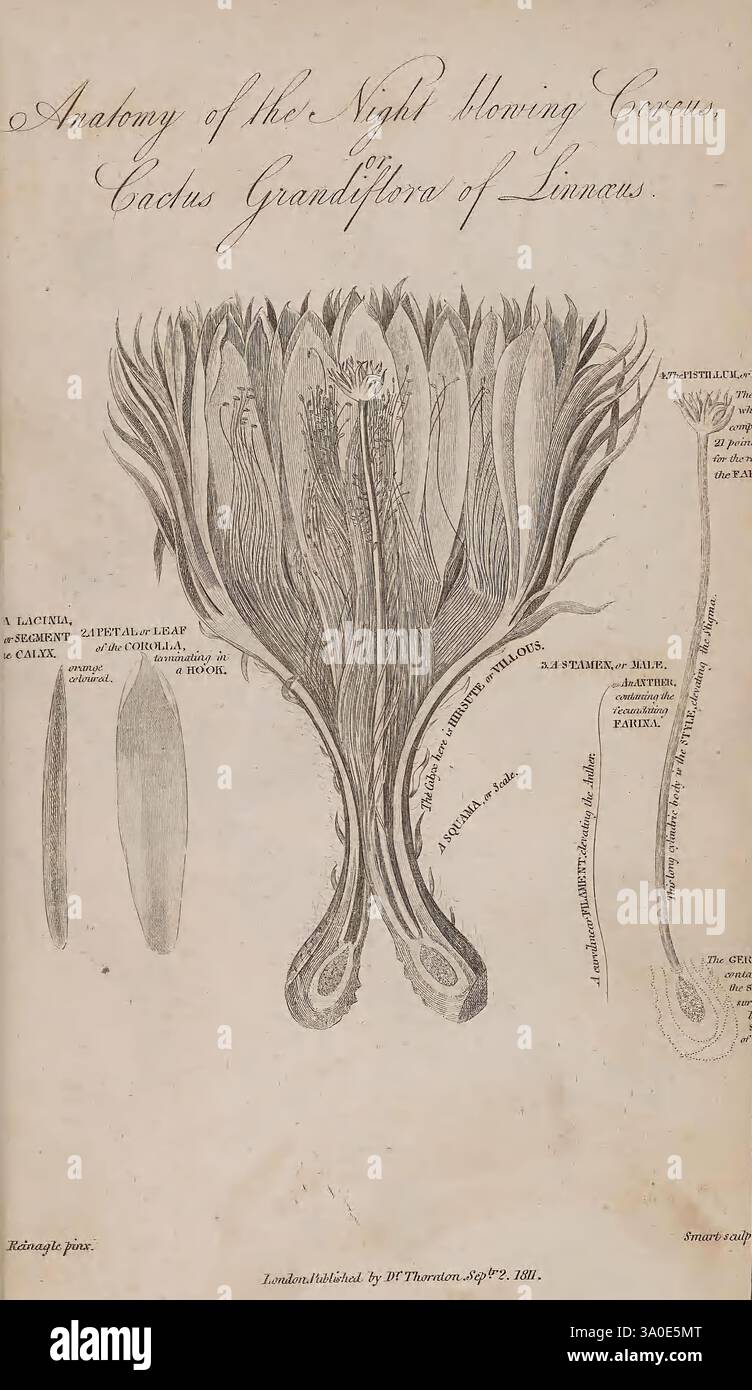 Elements of Botany, London, Printed for the Author by J. Whiting, 1812 ...
