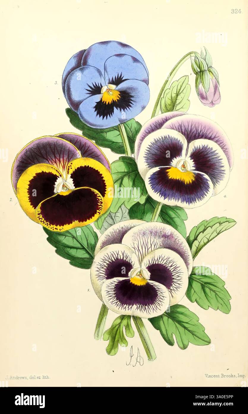 The Floral magazine. v.6 London, L. Reeve & Co, flowers, plants ...