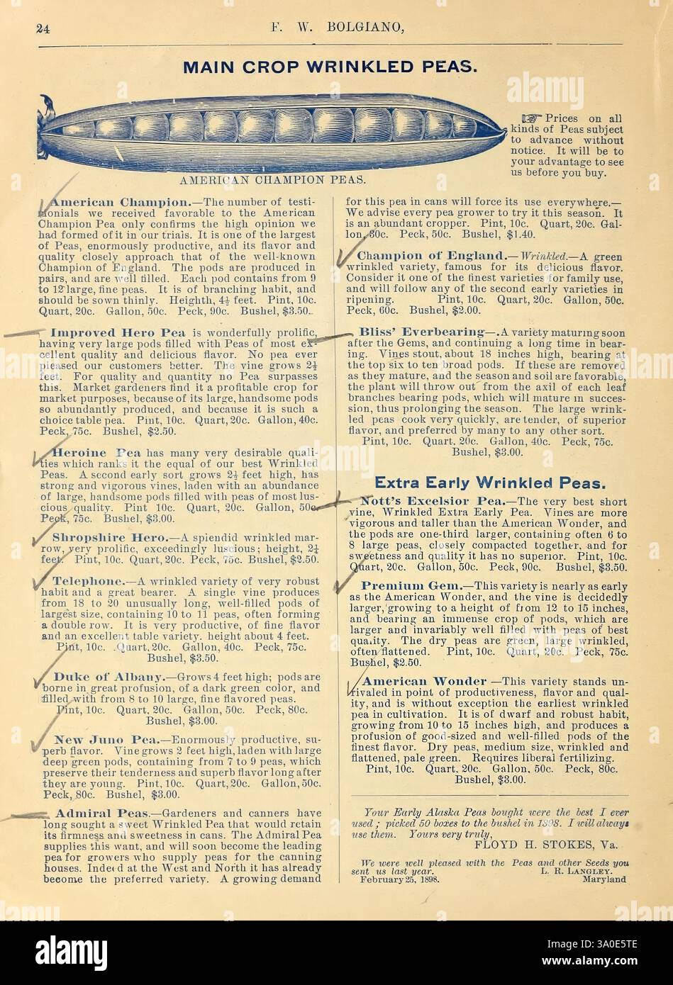 Wrinkled peas available hi-res stock photography and images - Alamy