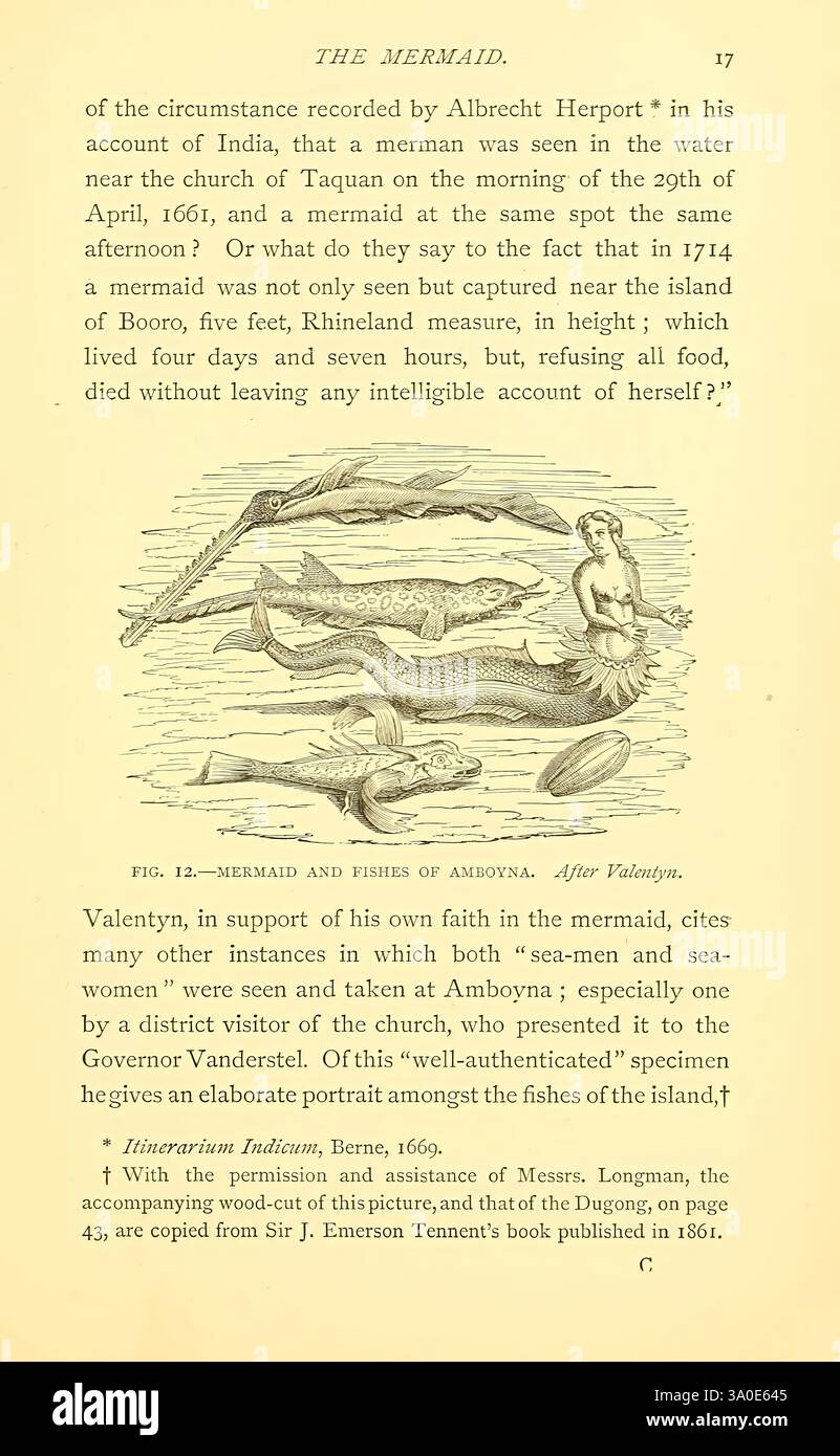 Mythical creatures graceful form hi-res stock photography and images ...