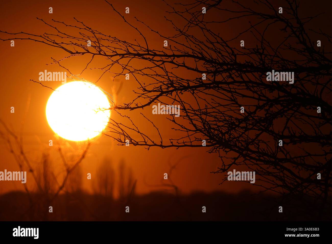 Ruhige Abendstimmung im Winter Sonnenuntergang nach milden Temperaturen ...