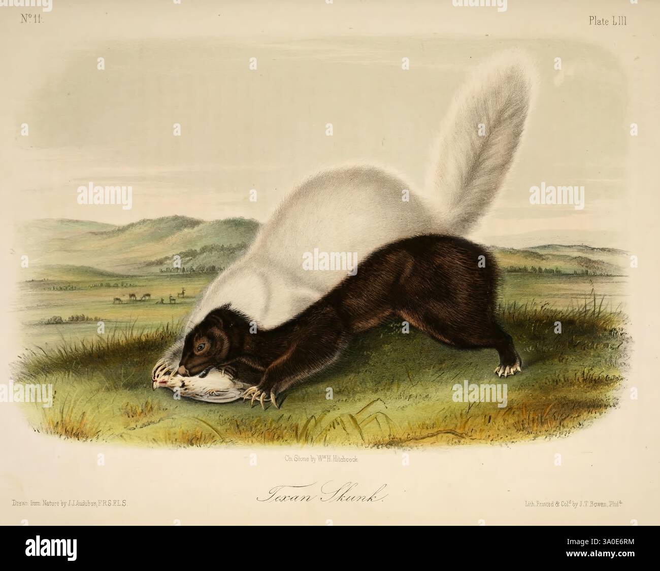 Gentle undulations of green grass hi-res stock photography and images ...