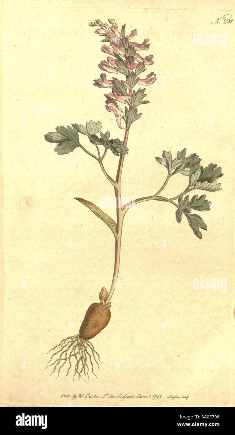 The Botanical Magazine, or Flower-garden Displayed, 1790-1800 Botany ...