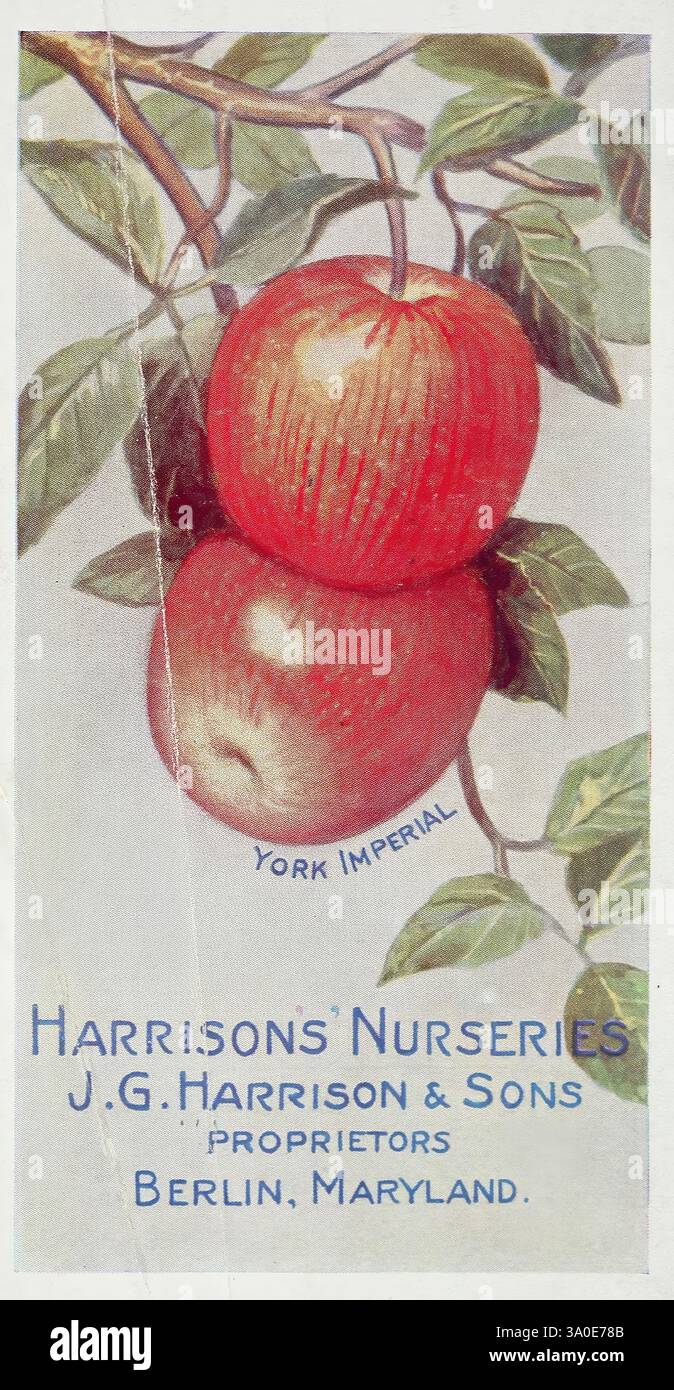 Text elegantly states hi-res stock photography and images - Alamy