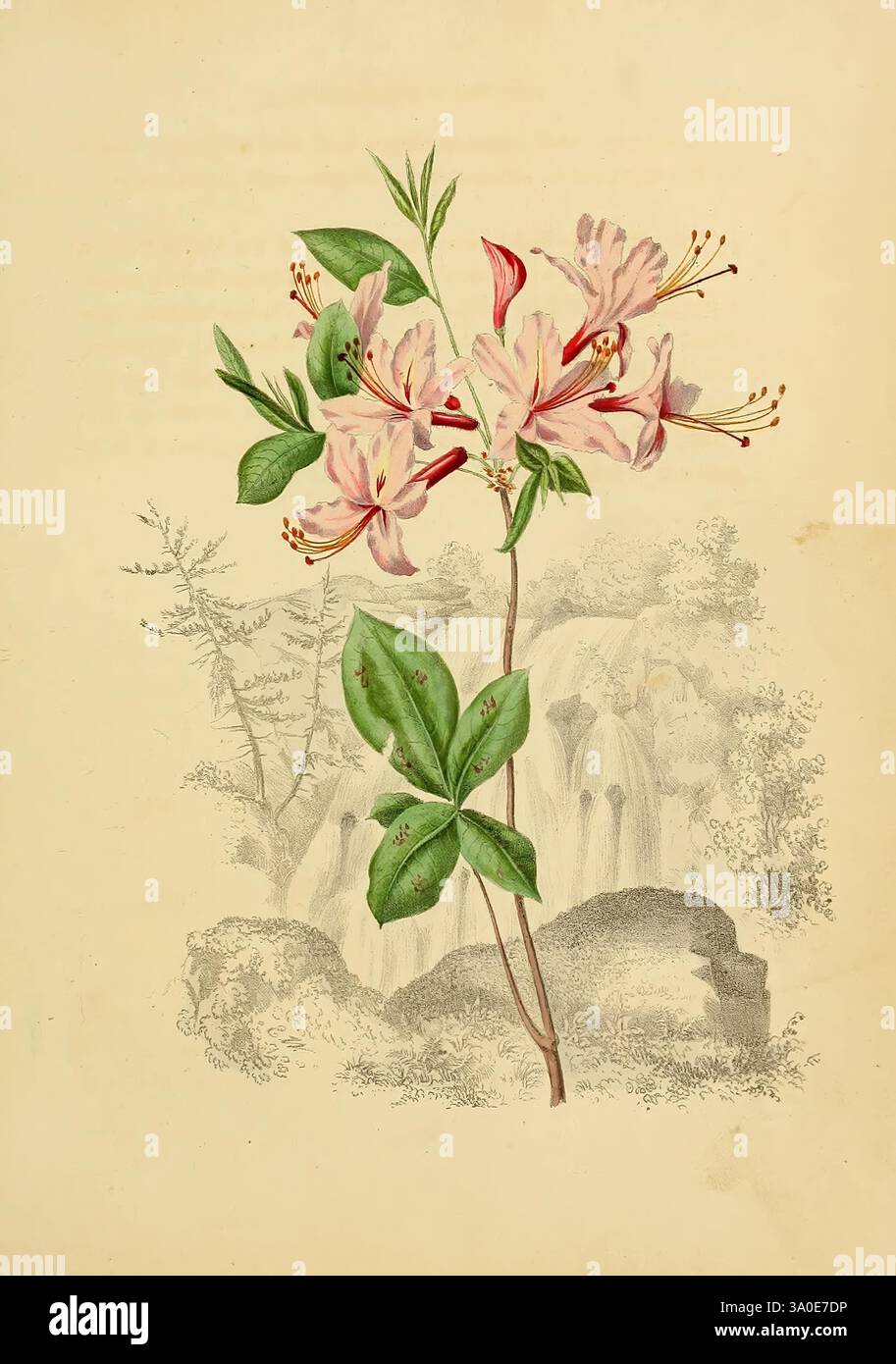 Subtle backdrop of stylized landscape elements hi-res stock photography ...