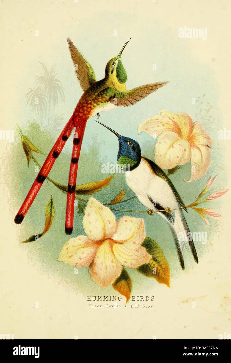 Lively interaction of creatures hi-res stock photography and images - Alamy