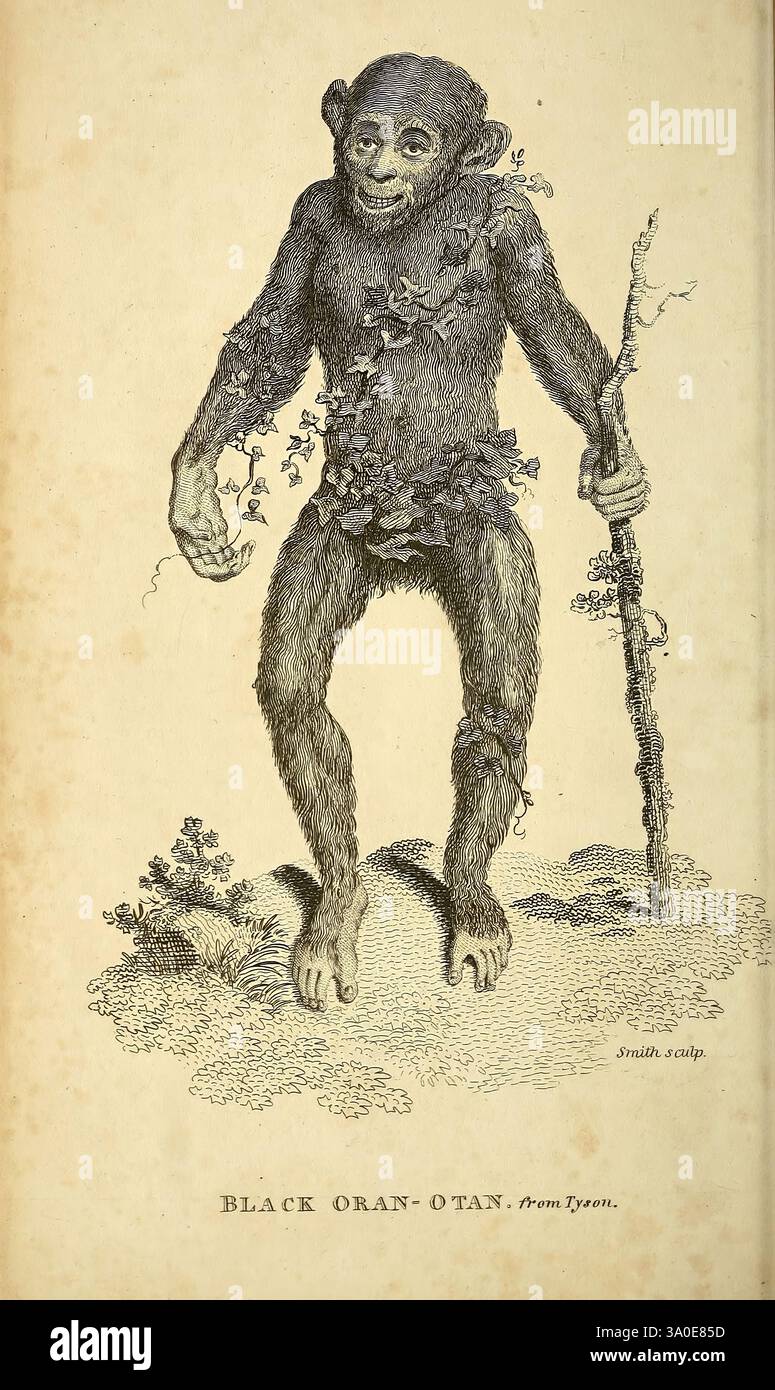 General zoology, or Systematic natural history, London, Printed for G ...