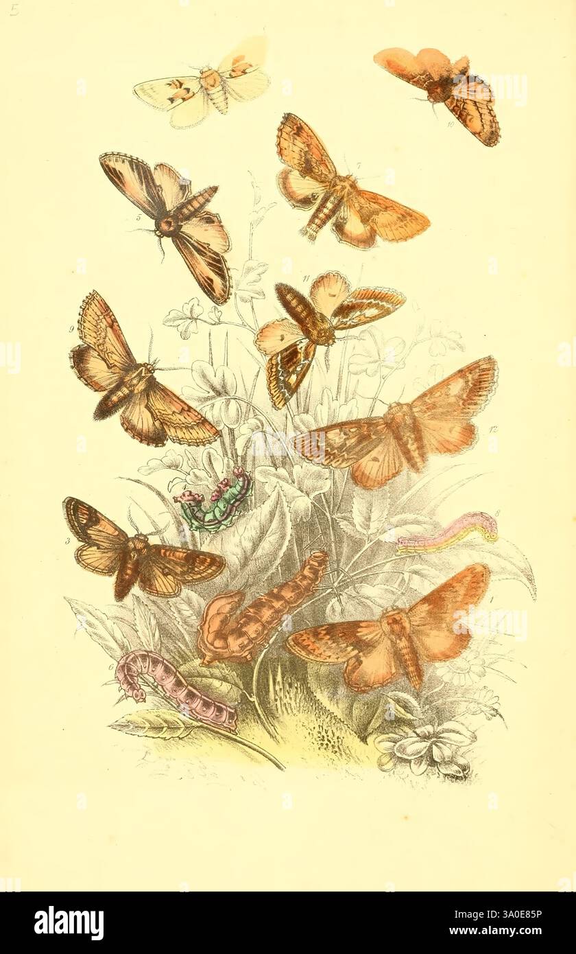 Transformation integral hi-res stock photography and images - Alamy