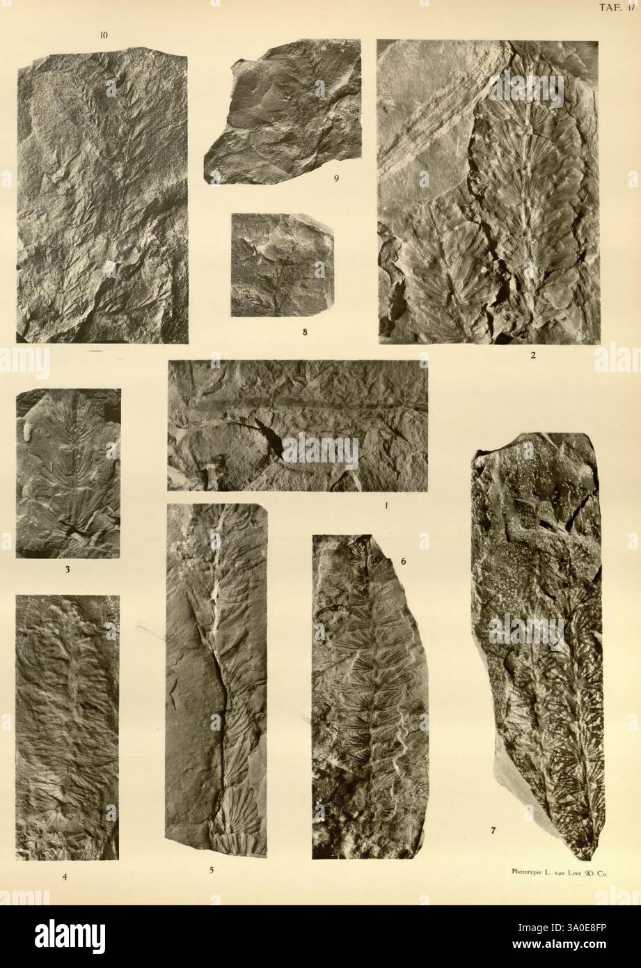 Series of textured rock surface impressions hi-res stock photography ...