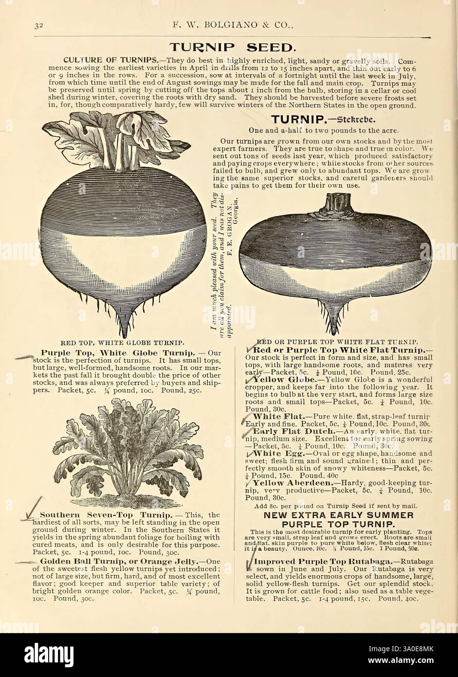 Bolgiano's, 1902, catalogue, Washington, D.C, F.W. Bolgiano, 1902 ...