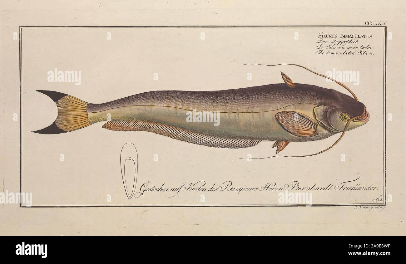 Defined mouth enhance hi-res stock photography and images - Alamy