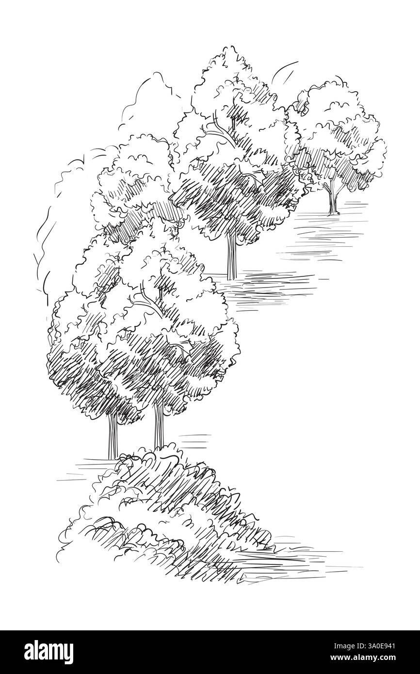 Hand drawing rural landscape grove with trees. Monochrome sketch ...