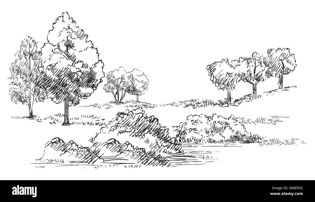 Hand drawing rural landscape field and trees. Monochrome sketch. Vector ...