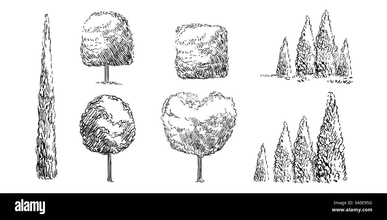 Hand drawing trees set. Monochrome sketches of different trees. Vector ...