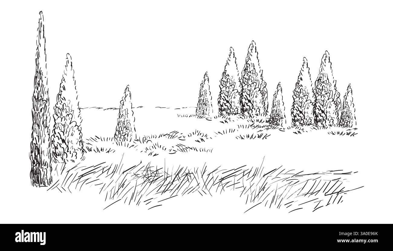 Hand drawing landscape with grass and evergreen trees. Monochrome ...