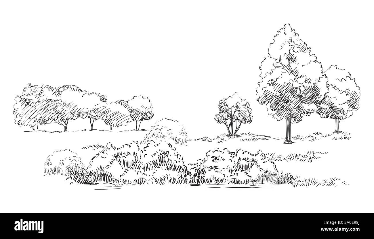 Hand drawing rural landscape meadow and trees. Monochrome sketch ...