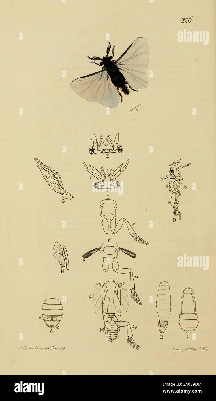 British, entomology, London, Printed for the author 1823-40, botany ...