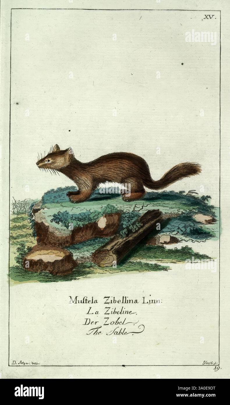 Gemeinnüzzige Naturgeschichte des Thierreichs, Berlin, bei Gottlieb ...