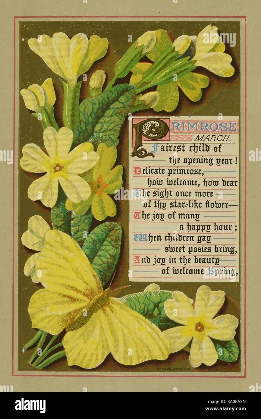 Artwork combines natural beauty hi-res stock photography and images - Alamy