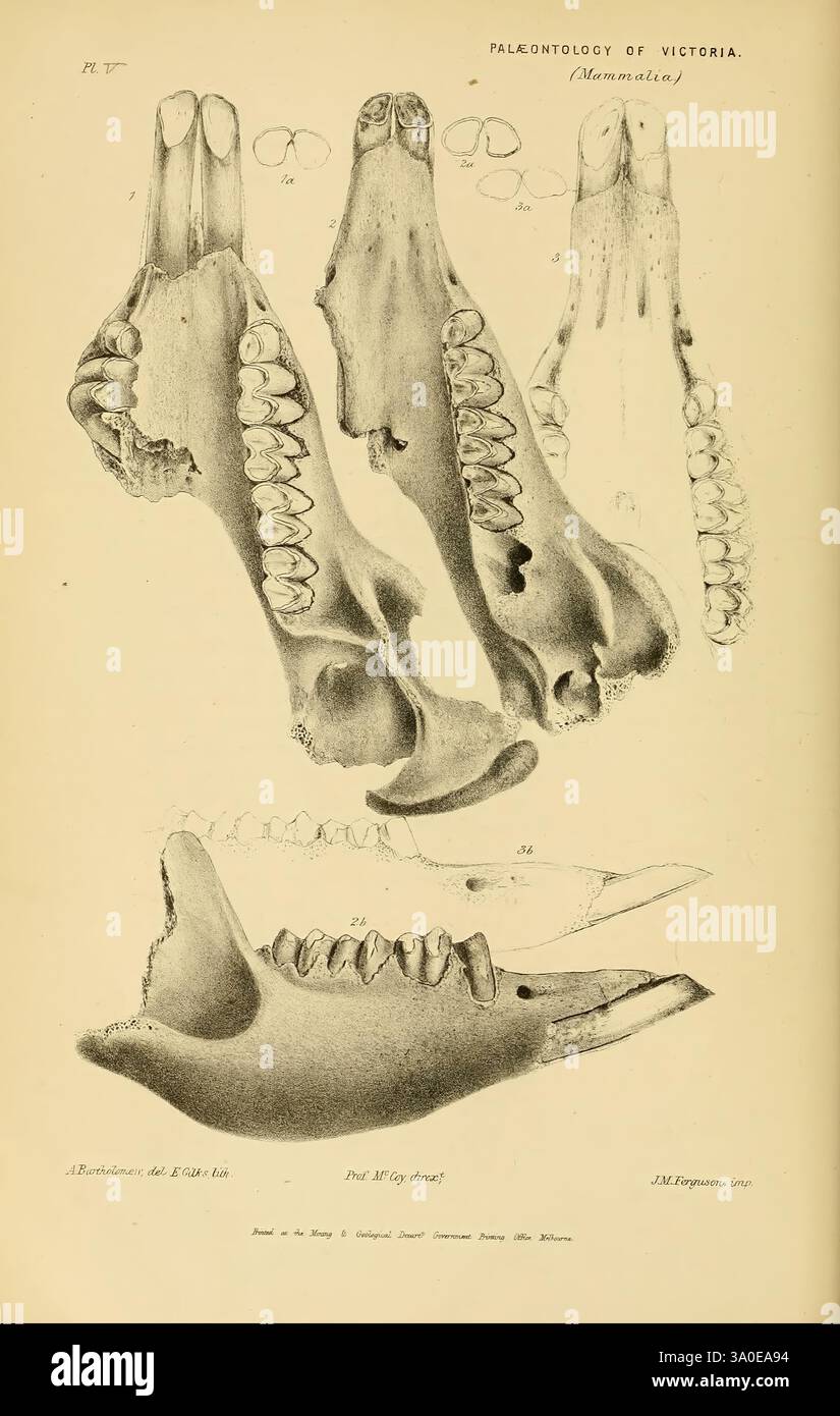 Showcasing various angles hi-res stock photography and images - Alamy