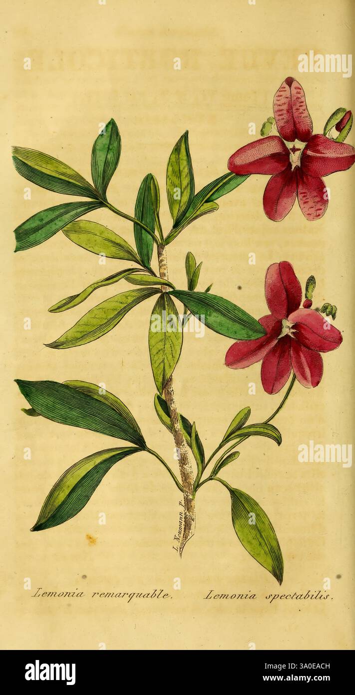 Coloration de la maison hi-res stock photography and images - Alamy