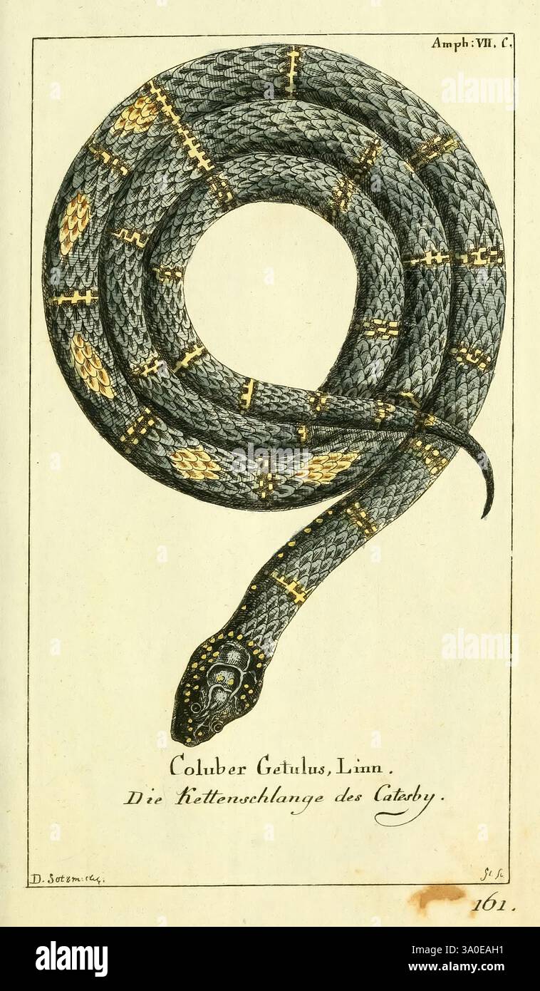 Gemeinnützige Naturgeschichte des Thierreichs bd. 4 plates, Berlin, bei ...